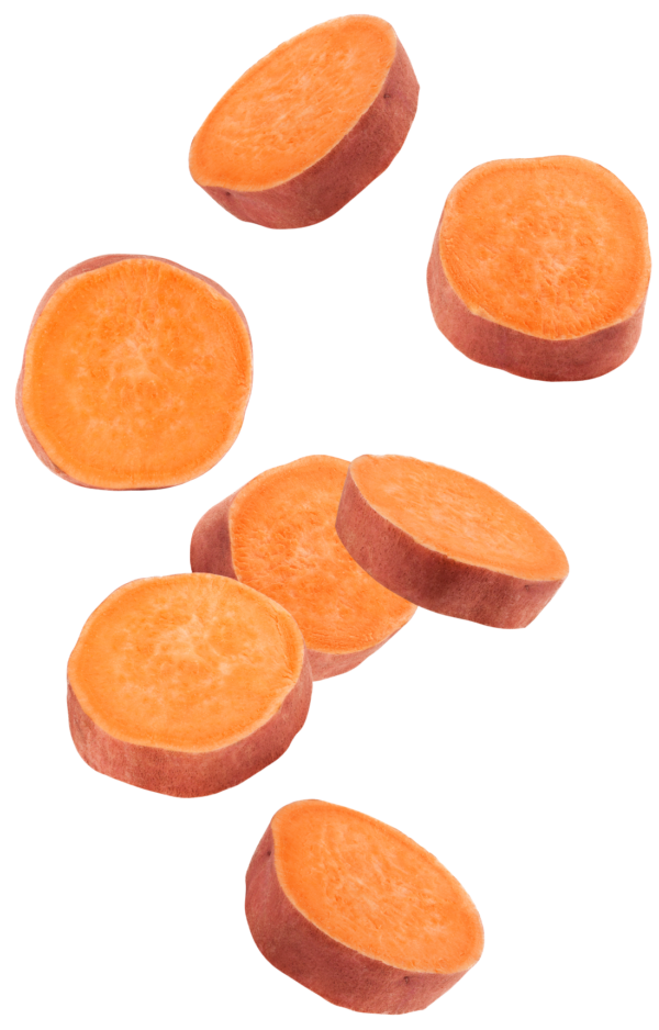 VG Gourmet | Fresh Plant Based Products | Canadian Delicacies